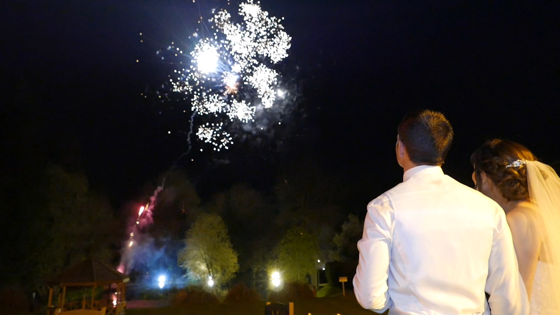 Professional Fireworks Displays